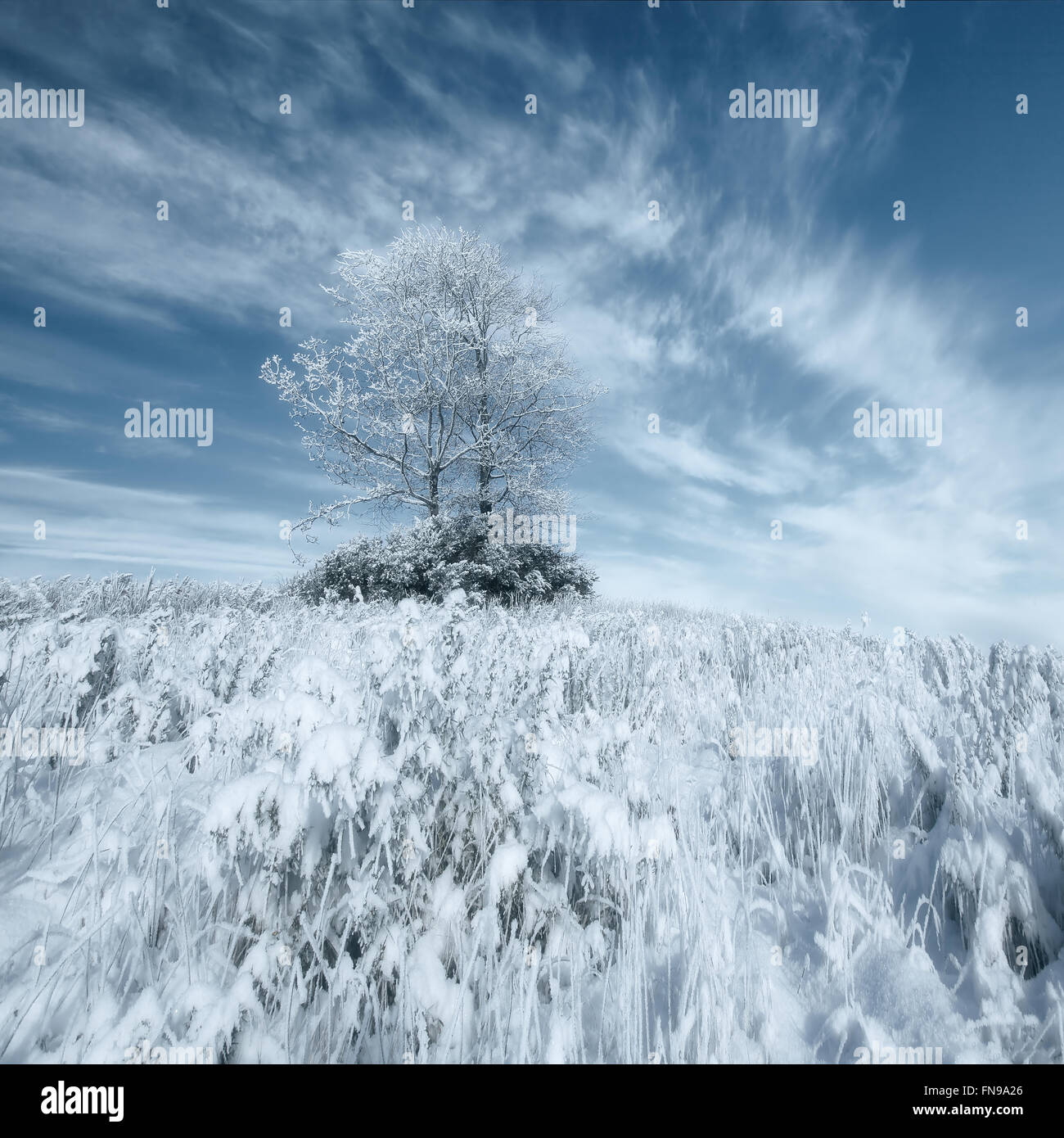 County monaghan hi-res stock photography and images - Alamy