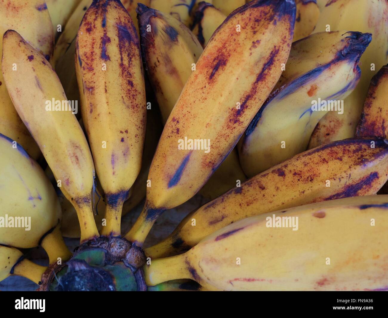 Close-up of bananas Stock Photo - Alamy