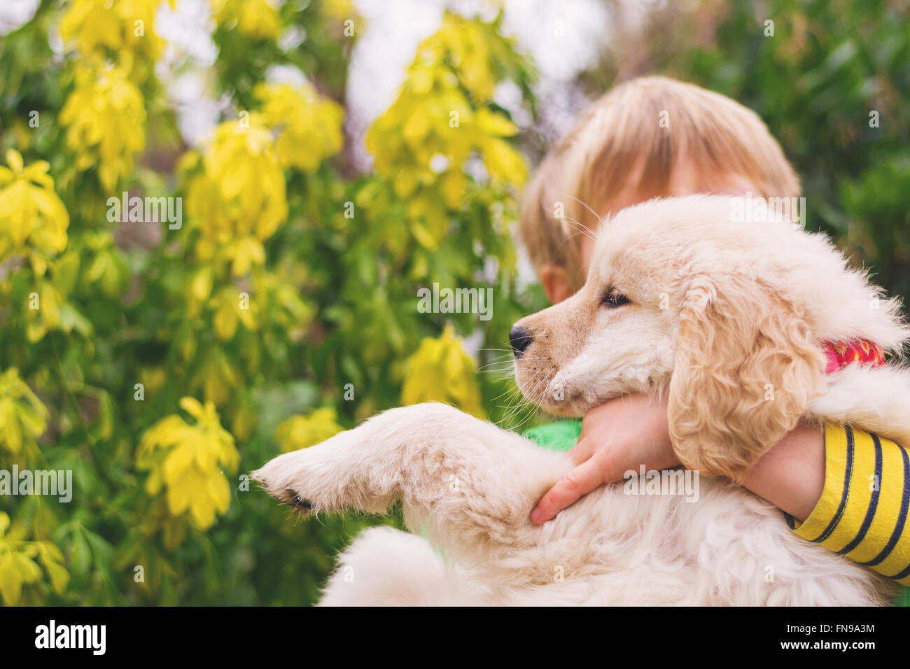 Child holding puppy dog hi-res stock photography and images - Alamy