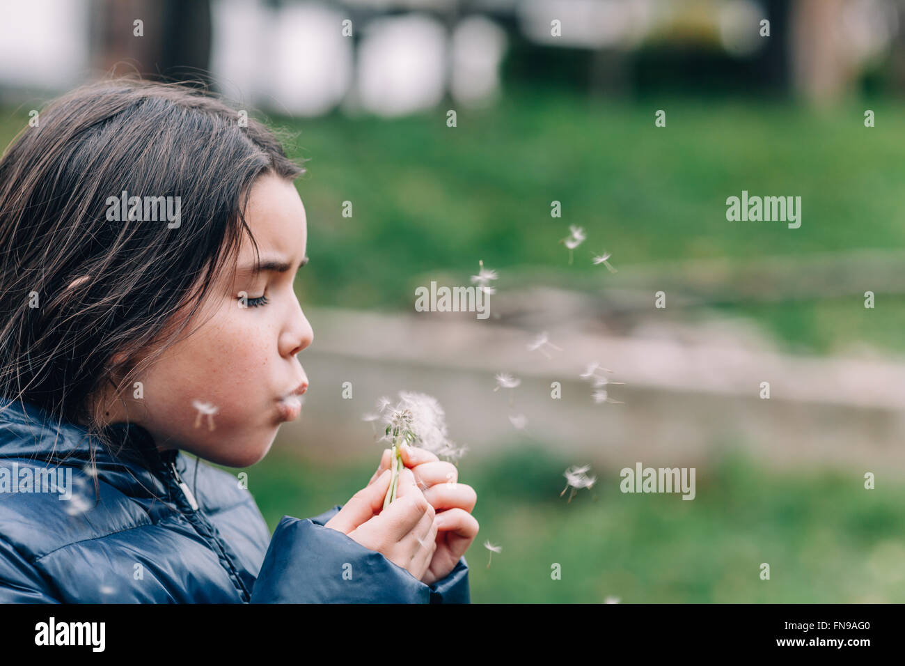 Girl blowing dandelion Stock Photo - Alamy