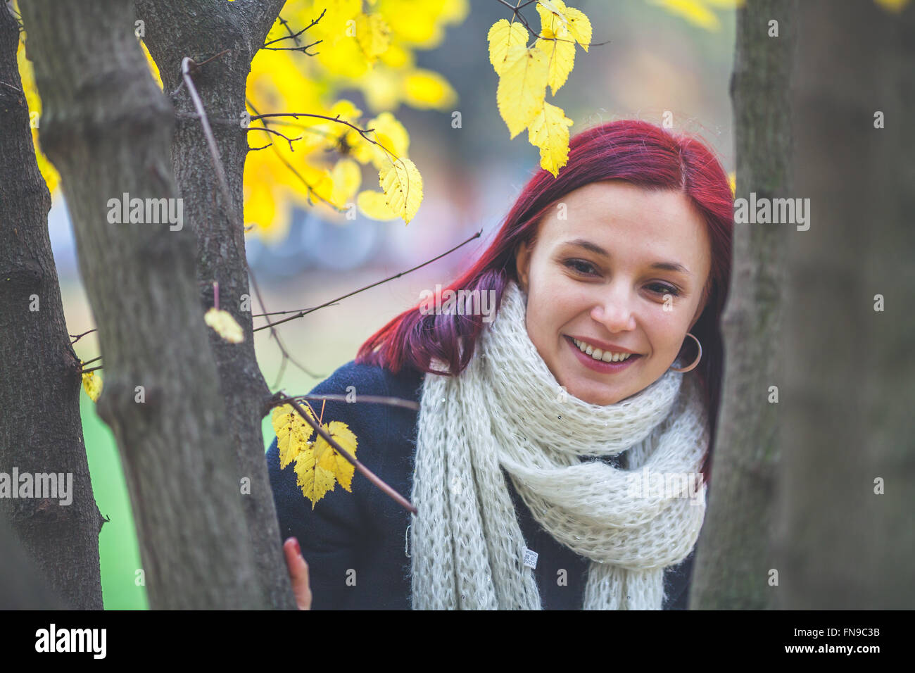 Person looking through trees hi-res stock photography and images - Alamy