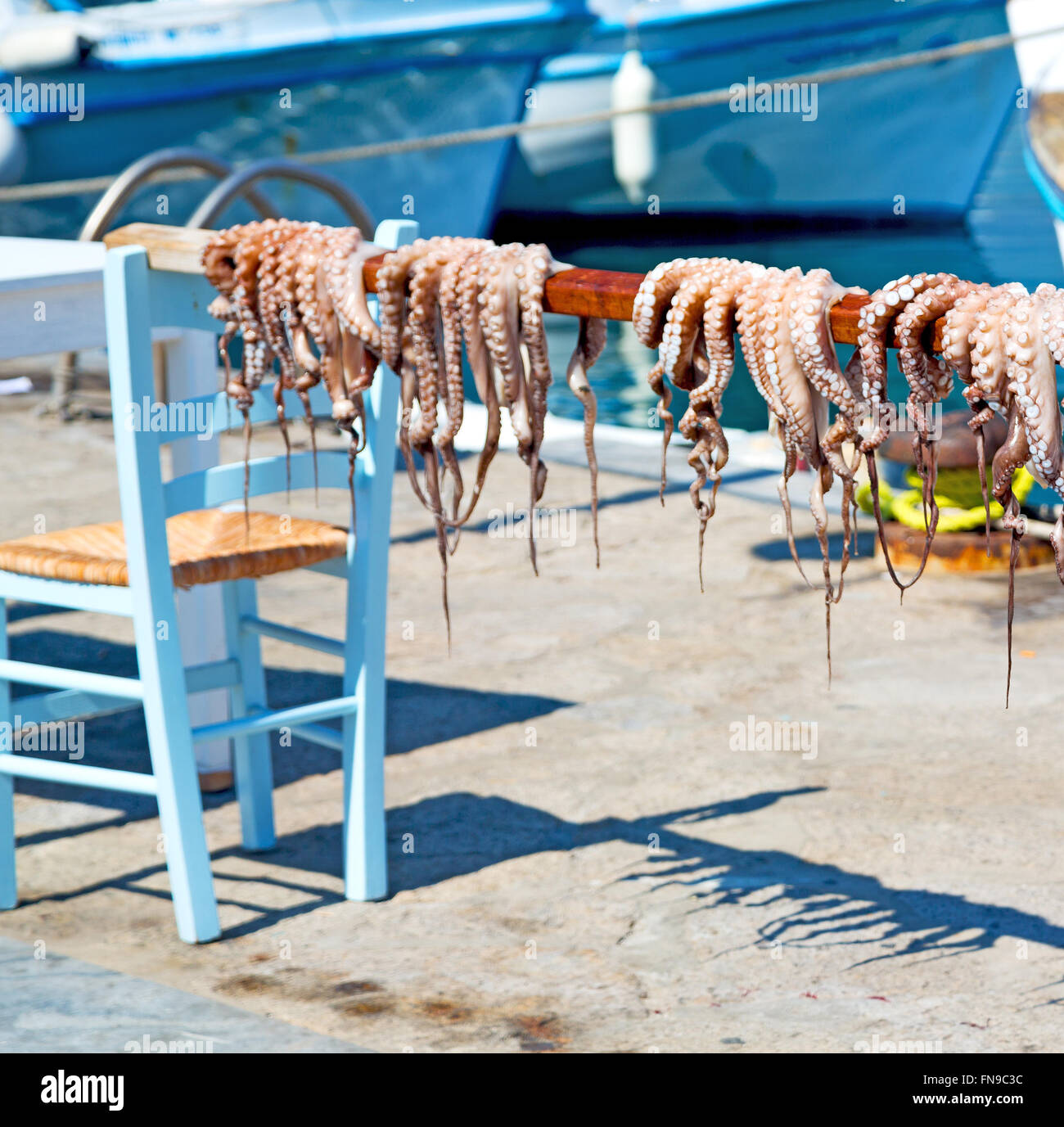 octopus drying in the sun europe greece santorini and light Stock Photo ...
