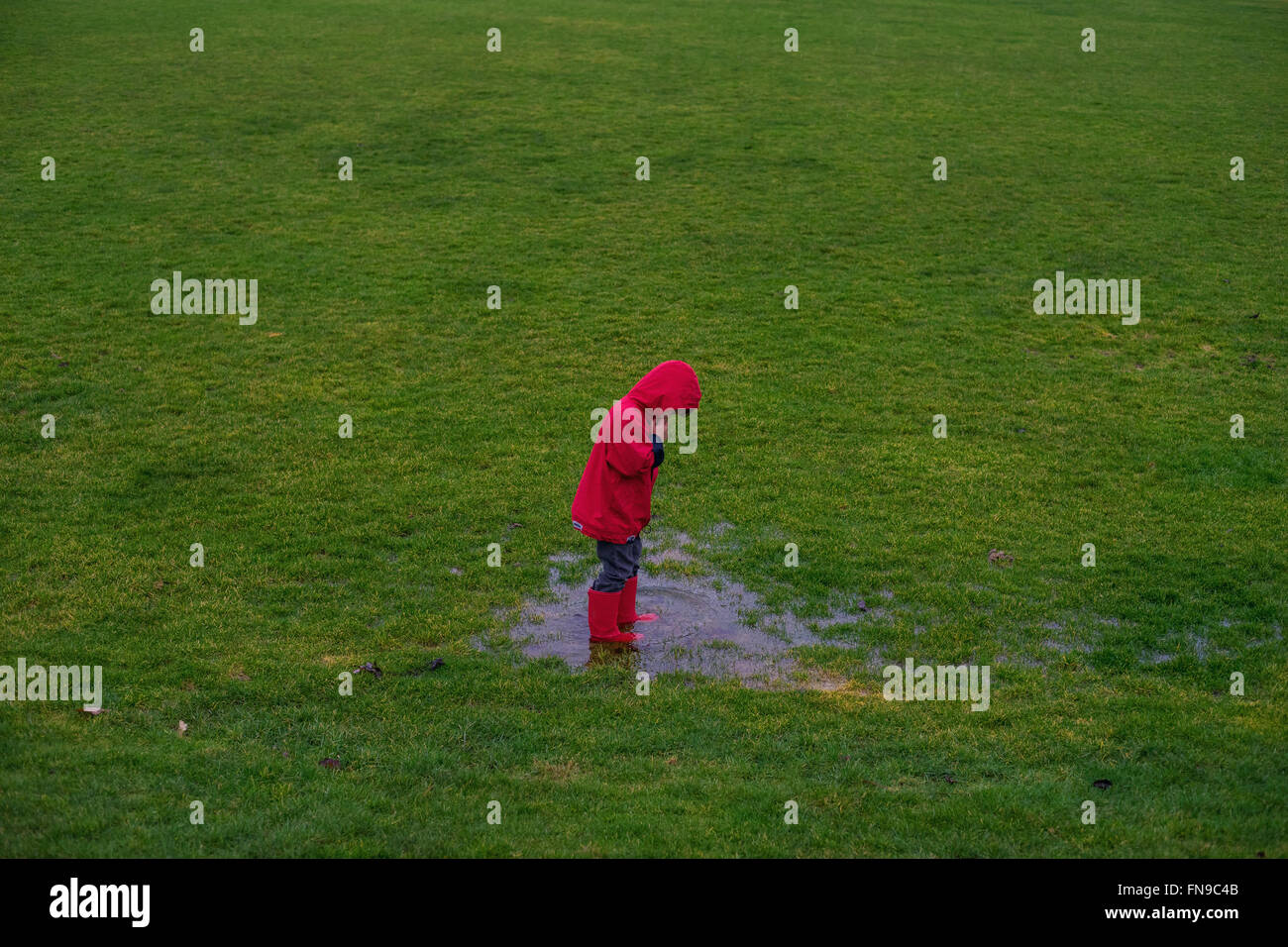 Elevated view of boy standing in a puddle Stock Photo - Alamy
