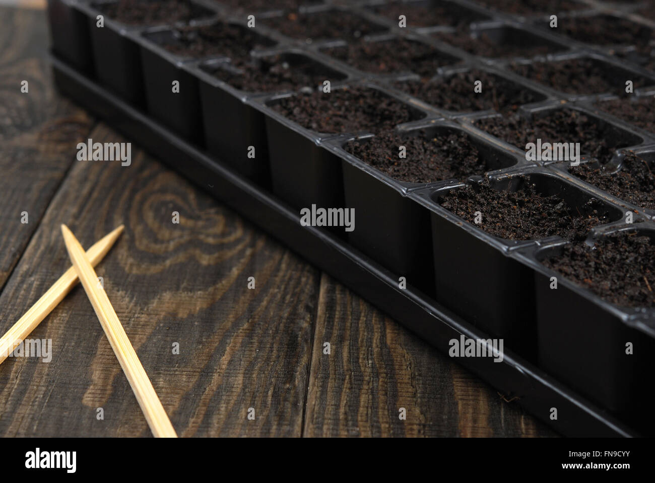 Black box with the ground for planting seeds with the tools to handle ...
