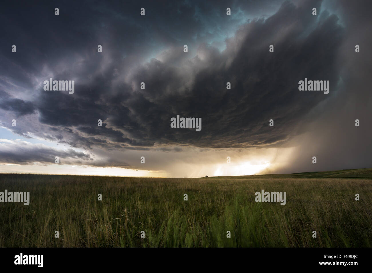 Supercell storm cloud, Colorado plains, United States Stock Photo - Alamy