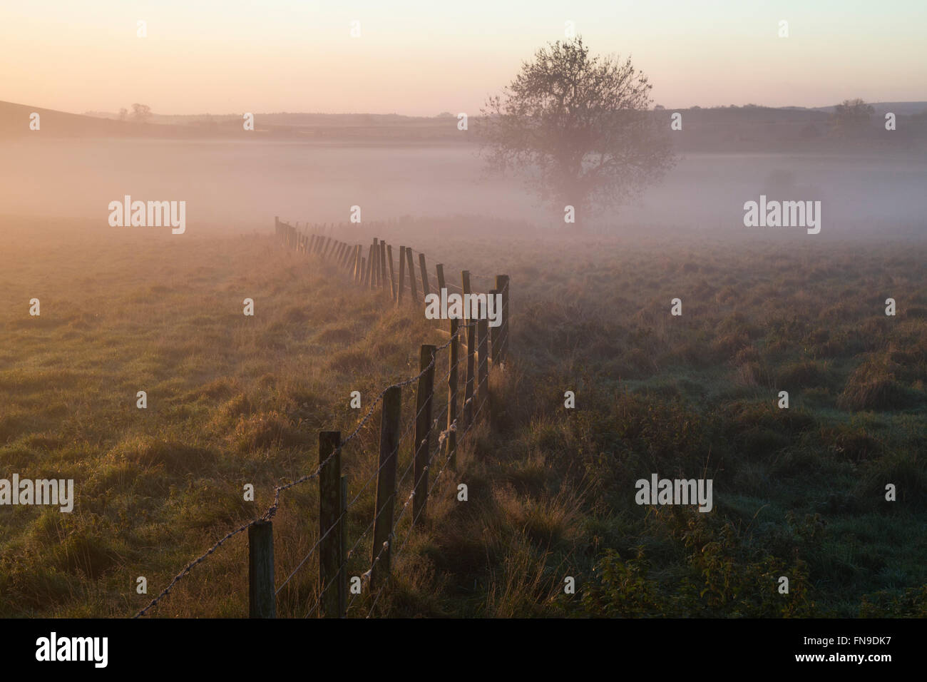 Sunrise over Dunstan landscape, Northumberland, England, United Kingdom ...