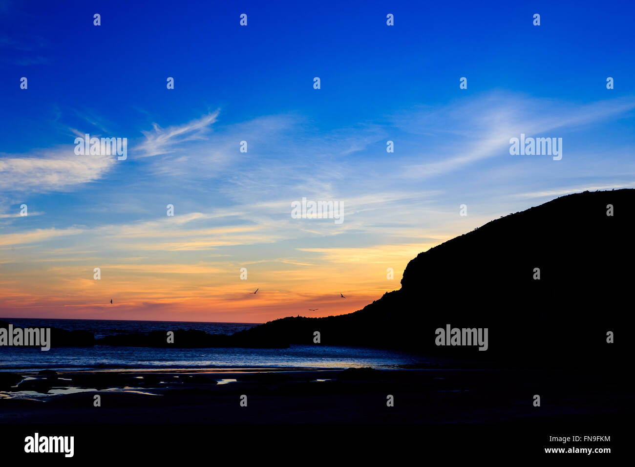 Seal Rock Beach at Sunset, Oregon, United States Stock Photo - Alamy