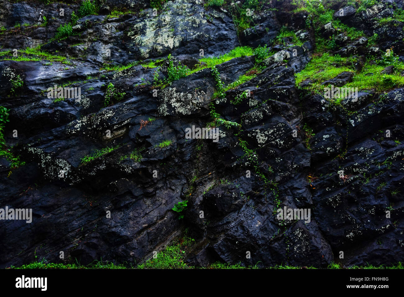 Metamorphic rock of Indo-australia subduction plate Stock Photo - Alamy