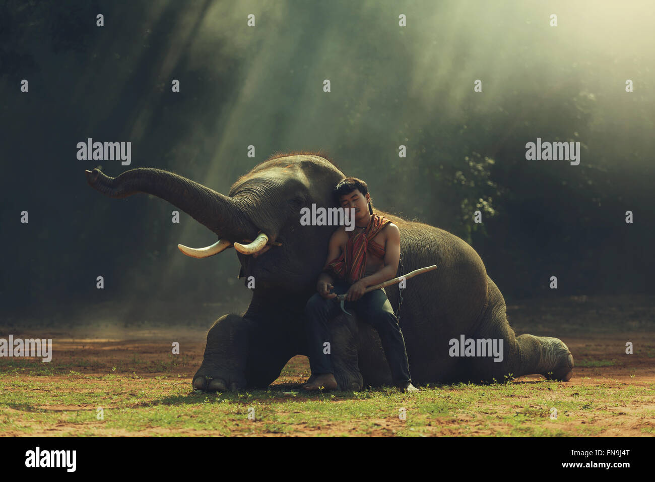 Mahout man With Elephant Stock Photo - Alamy