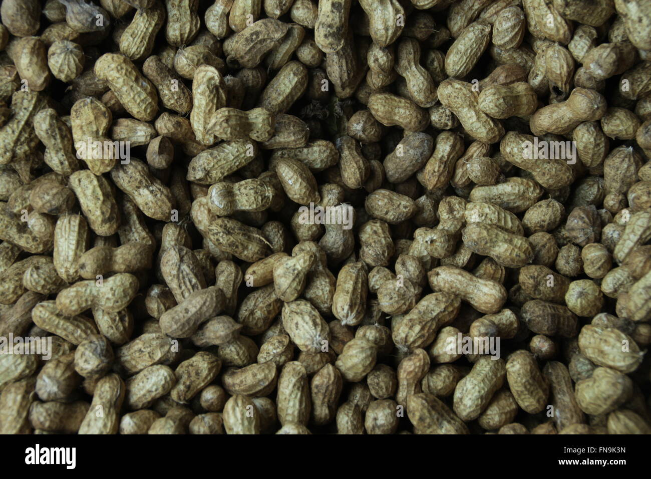 Peanuts day hi-res stock photography and images - Alamy