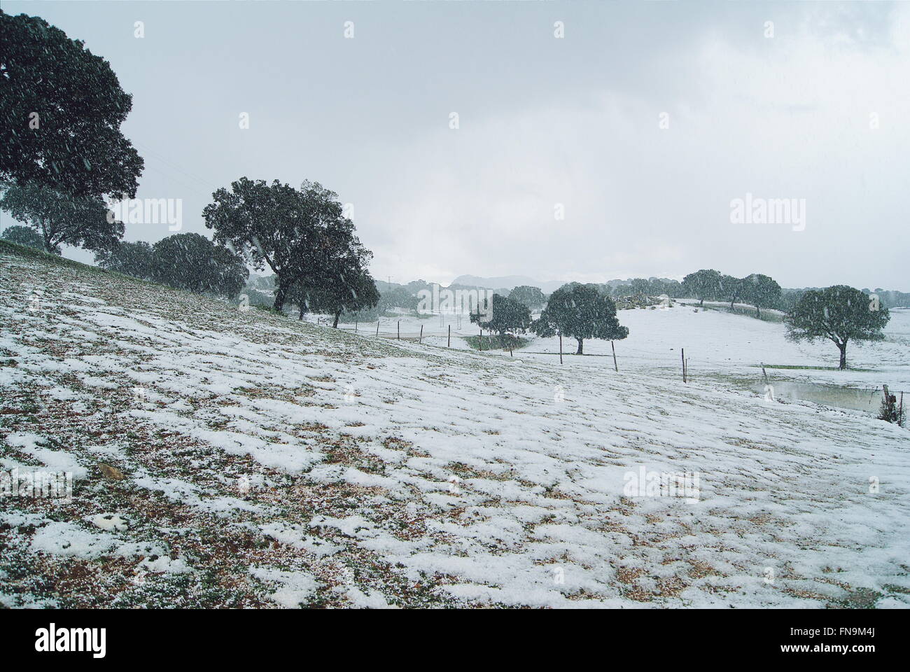 Snow covered landscape, Sierra Nevada, Granada, Spain Stock Photo - Alamy