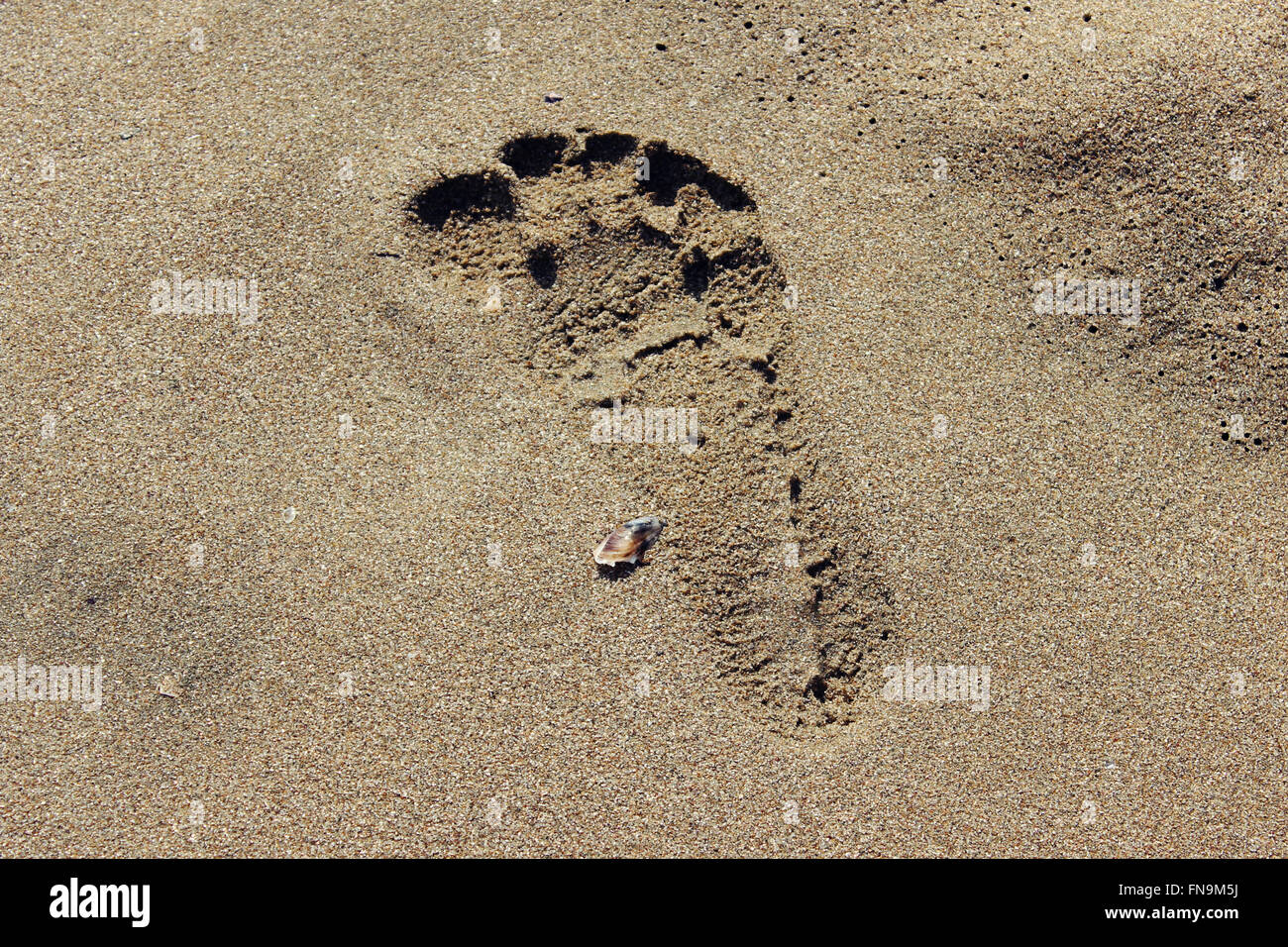 Footprint in sand Stock Photo - Alamy