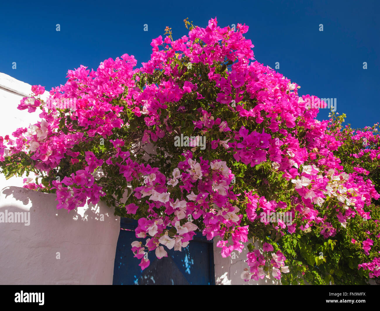 Lahania hi-res stock photography and images - Alamy