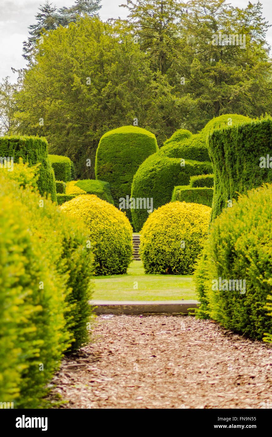 Path to Shrubs in Derbyshire Stock Photo - Alamy