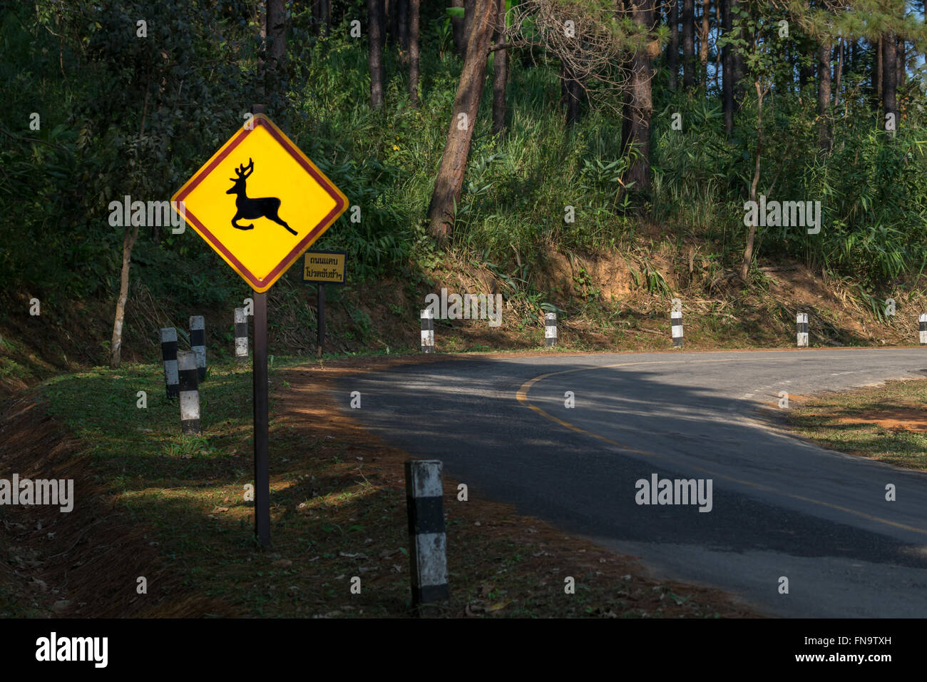 Beware Of Deer High Resolution Stock Photography and Images - Alamy