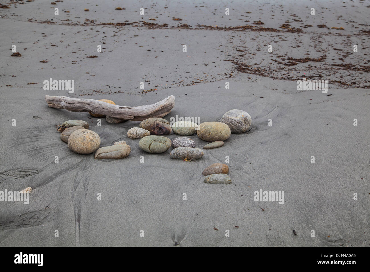 Pebbles on beach new zealand hi-res stock photography and images - Alamy