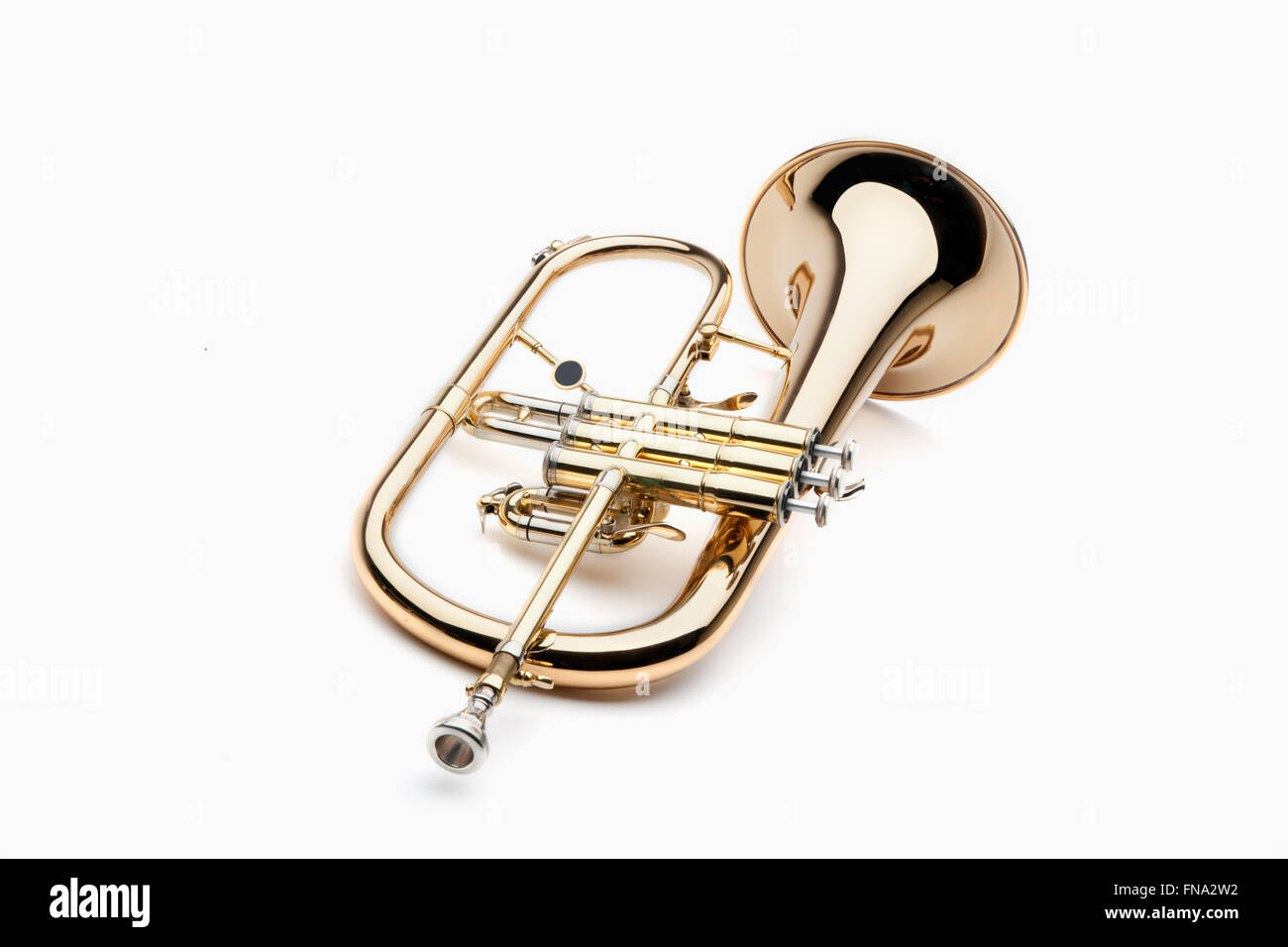 Trumpet on a white background Stock Photo - Alamy