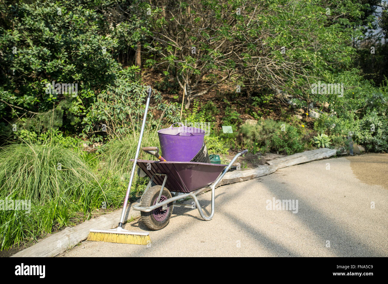 Med Biome, Eden Project Stock Photo - Alamy
