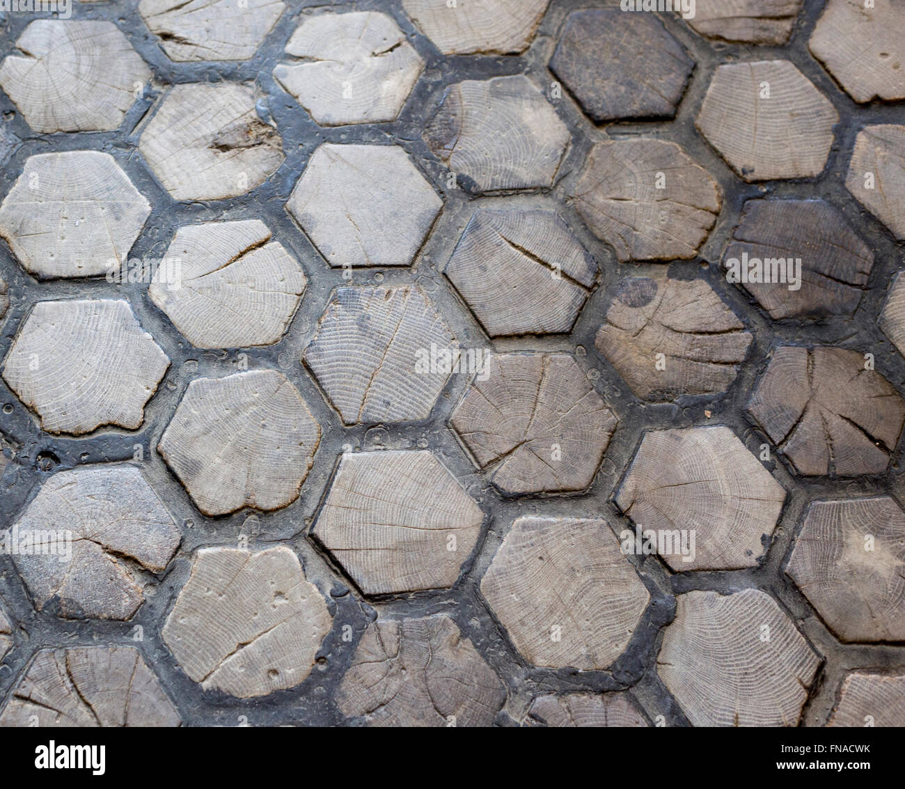Wood built hexagon hi-res stock photography and images - Alamy