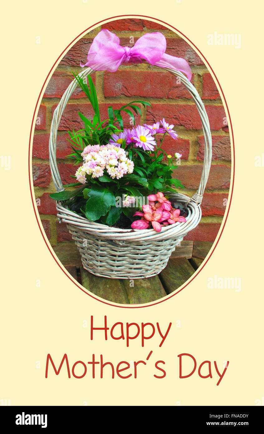 Mothering sunday card hi-res stock photography and images - Alamy