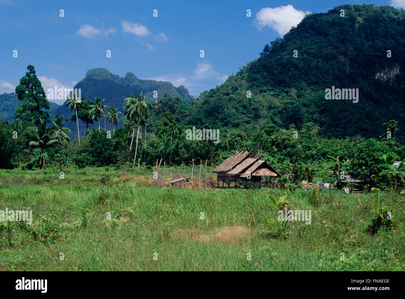 Thailand thai house farm building hi-res stock photography and images ...