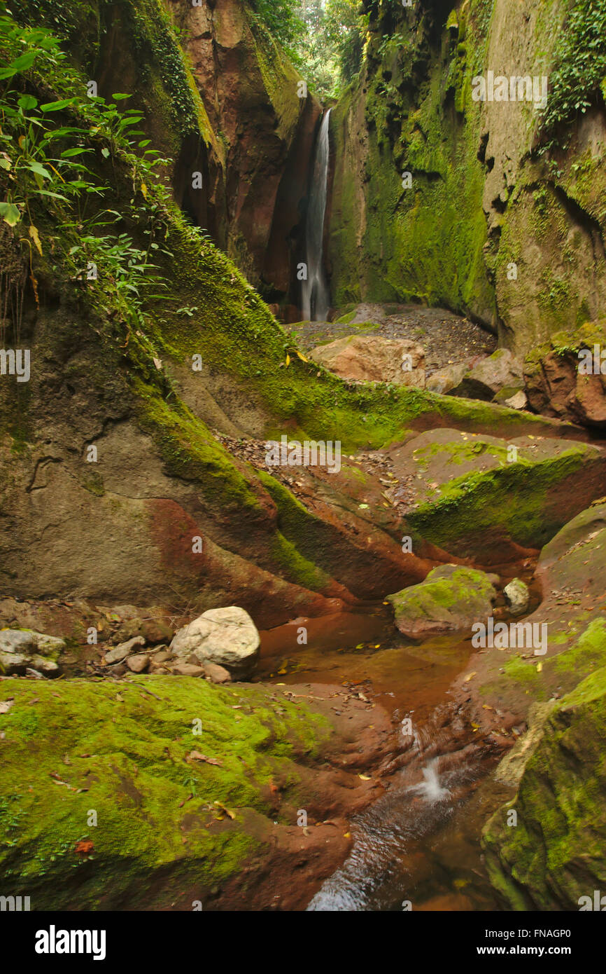 Bolivia amboro national park hi-res stock photography and images - Alamy