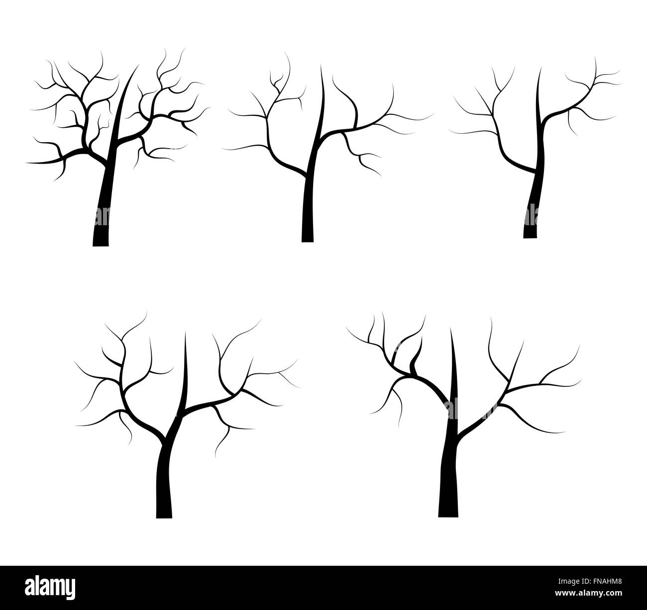 dry tree on white background Stock Photo - Alamy