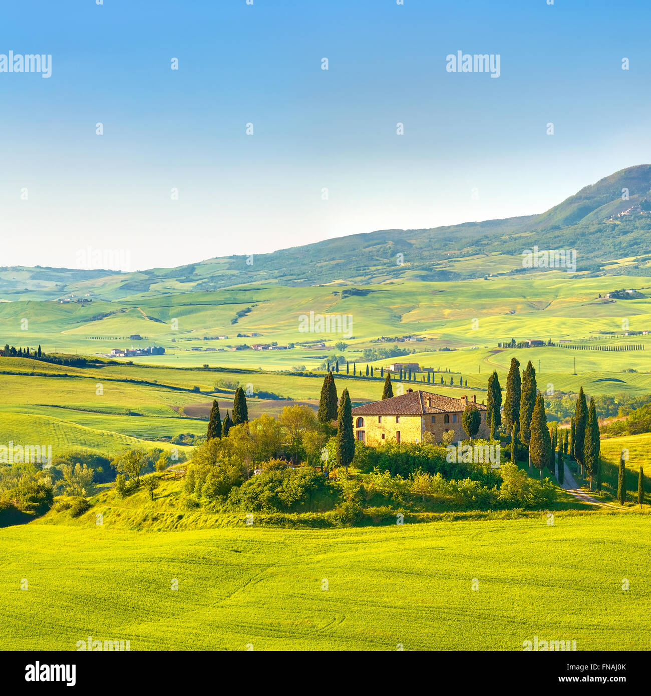 Tuscany at spring Stock Photo - Alamy