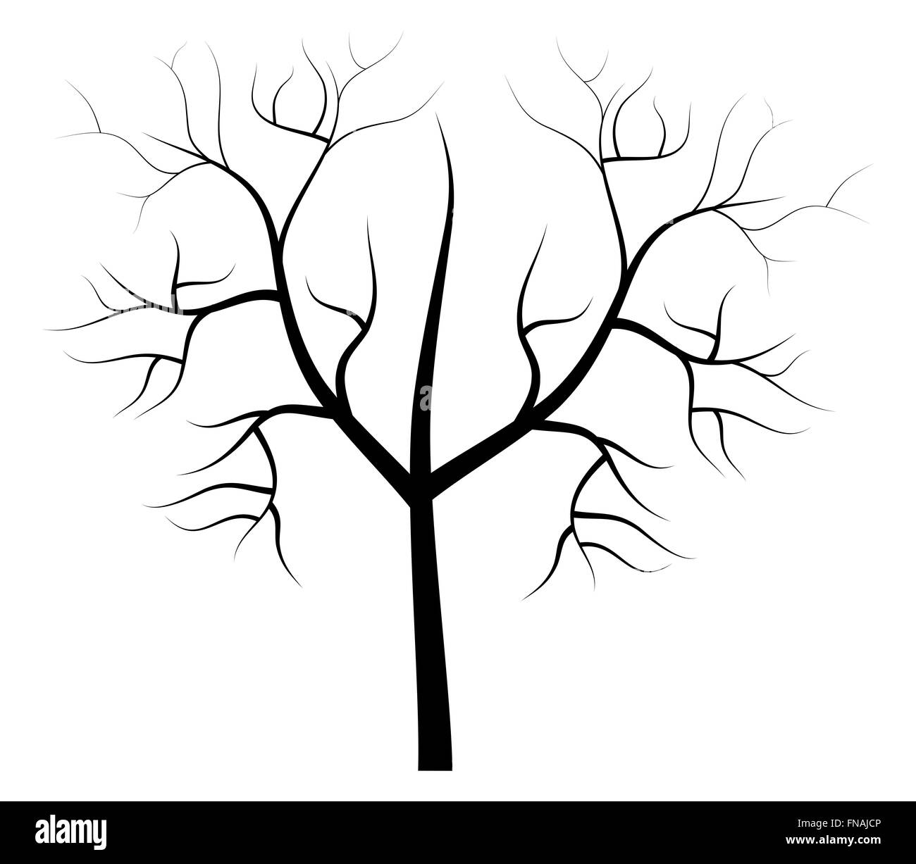 dry tree on white background Stock Photo - Alamy