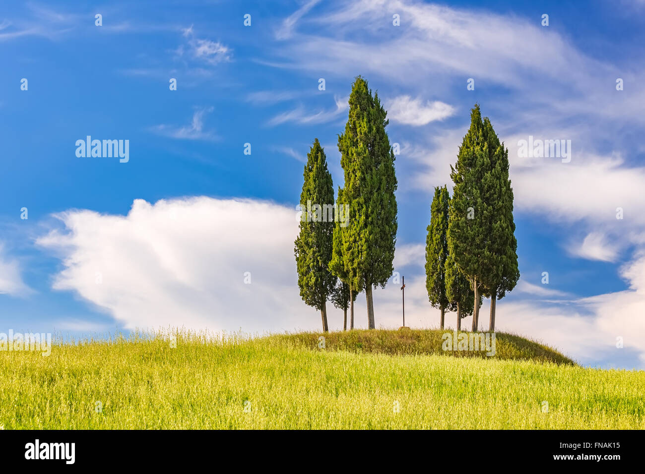 Tuscany landscape at spring Stock Photo - Alamy