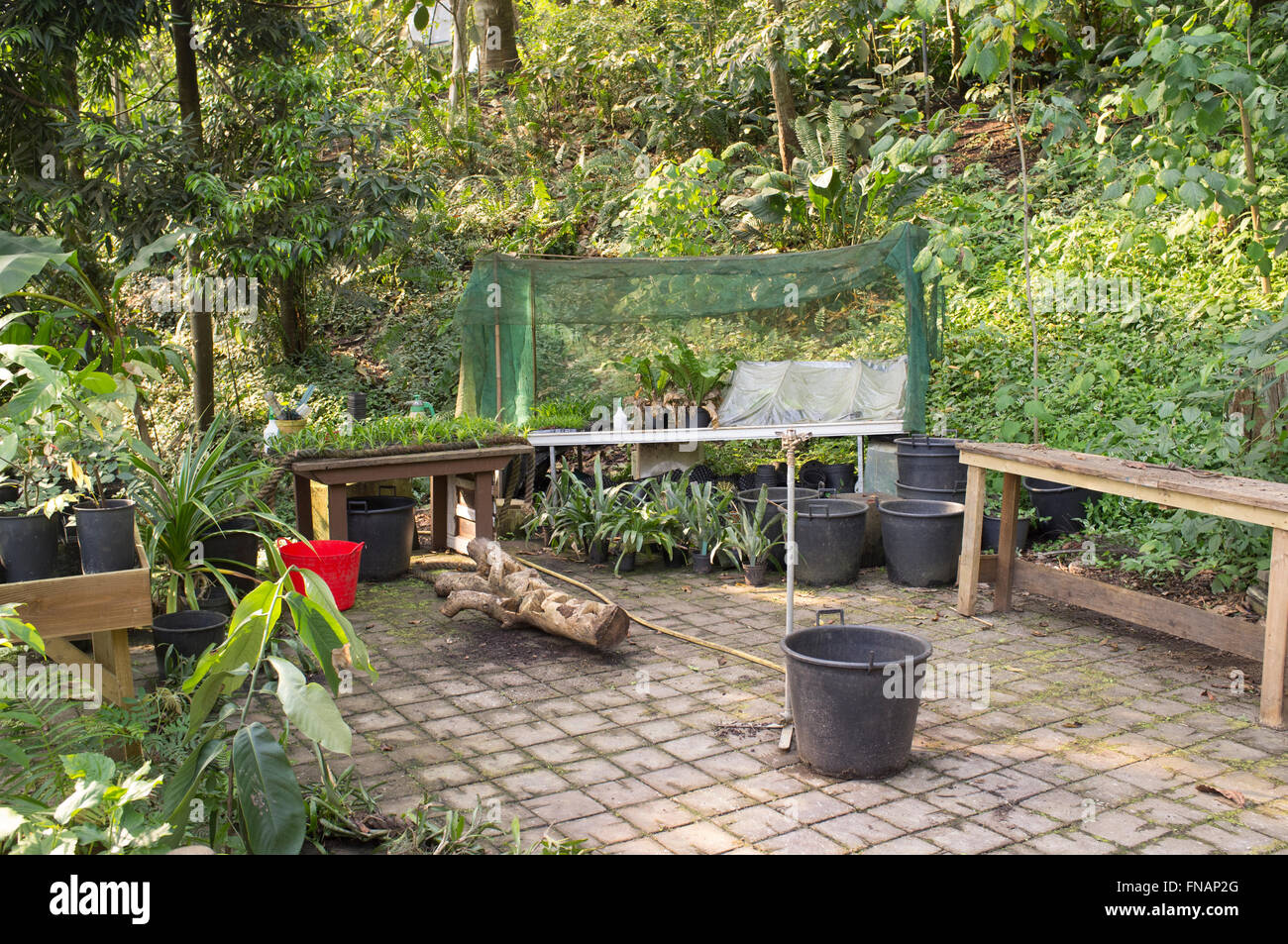 A space used by the Gardening Team, Eden Project Stock Photo - Alamy