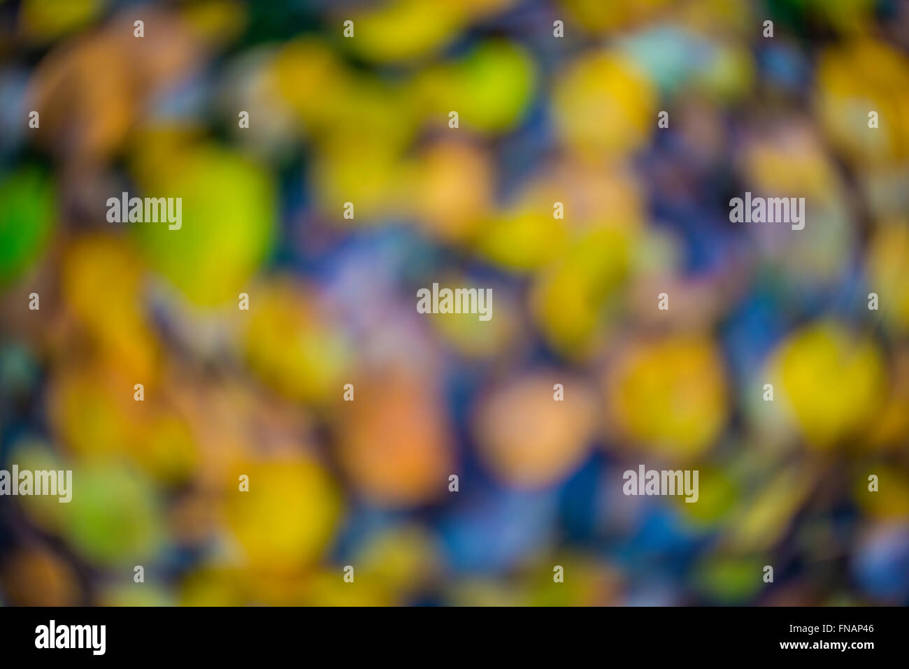 Artistic blurry colourful background image Stock Photo - Alamy