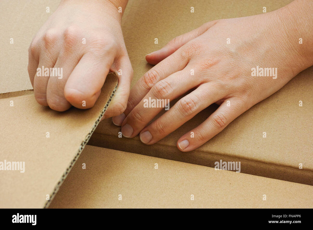 Woman hands opening cardboard box Stock Photo - Alamy
