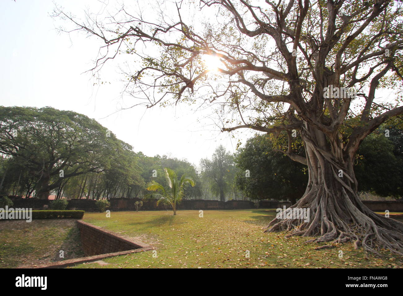 Thousand year old temple hi-res stock photography and images - Alamy