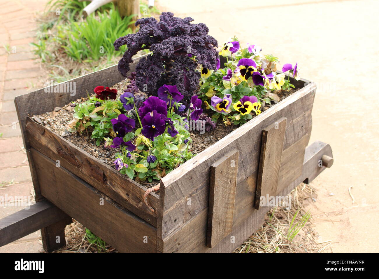 Wheelbarrow flowers hi-res stock photography and images - Alamy