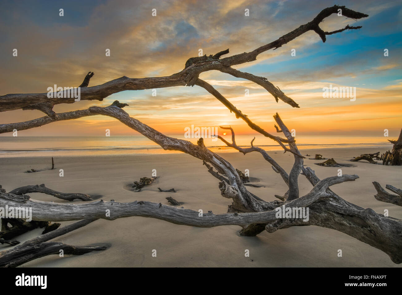 Stock beach photos hi-res stock photography and images - Alamy