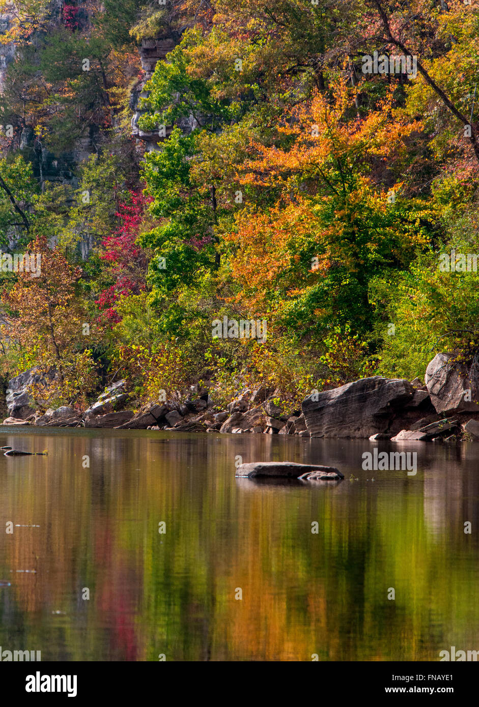 Fall colors reflecting in the river Stock Photo - Alamy