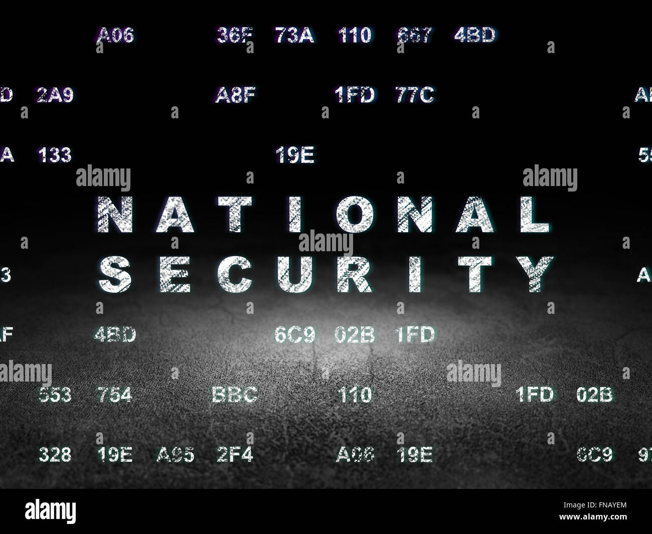 National industrial security system hi-res stock photography and images ...