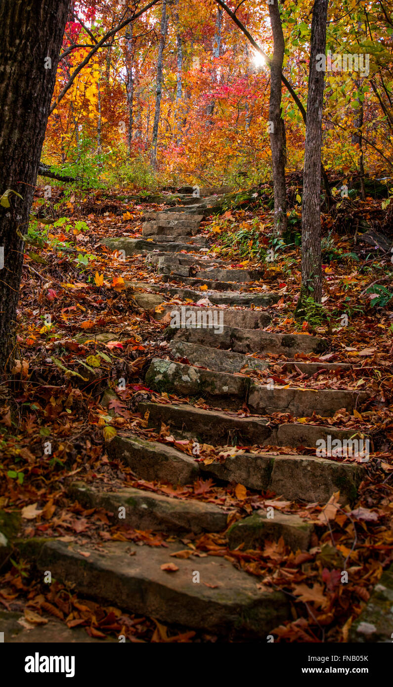 Stonewalkway hi-res stock photography and images - Alamy