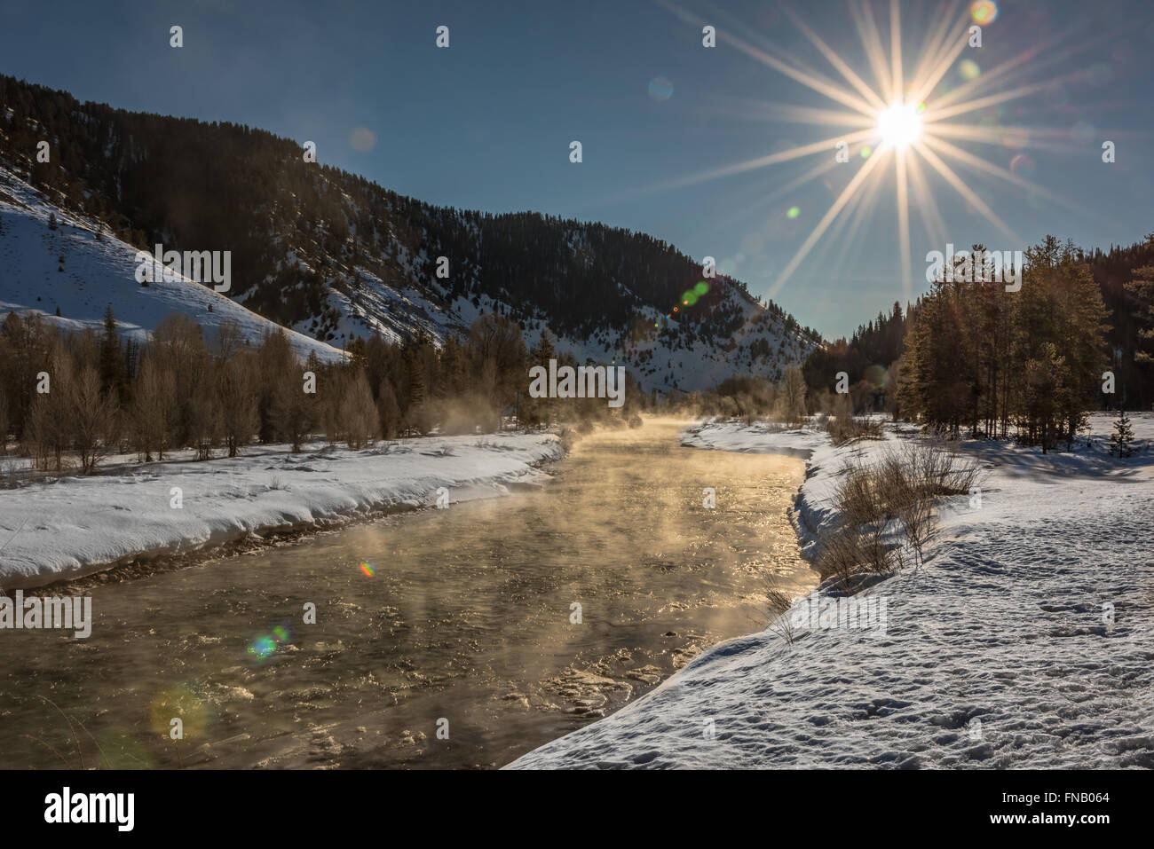 Riverrunningthroughforest hi-res stock photography and images - Alamy