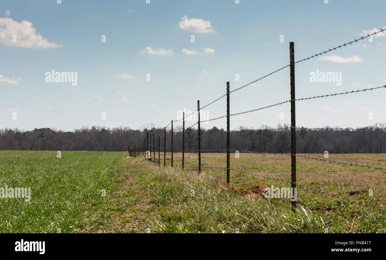 cattle farm land pasture Stock Photo - Alamy