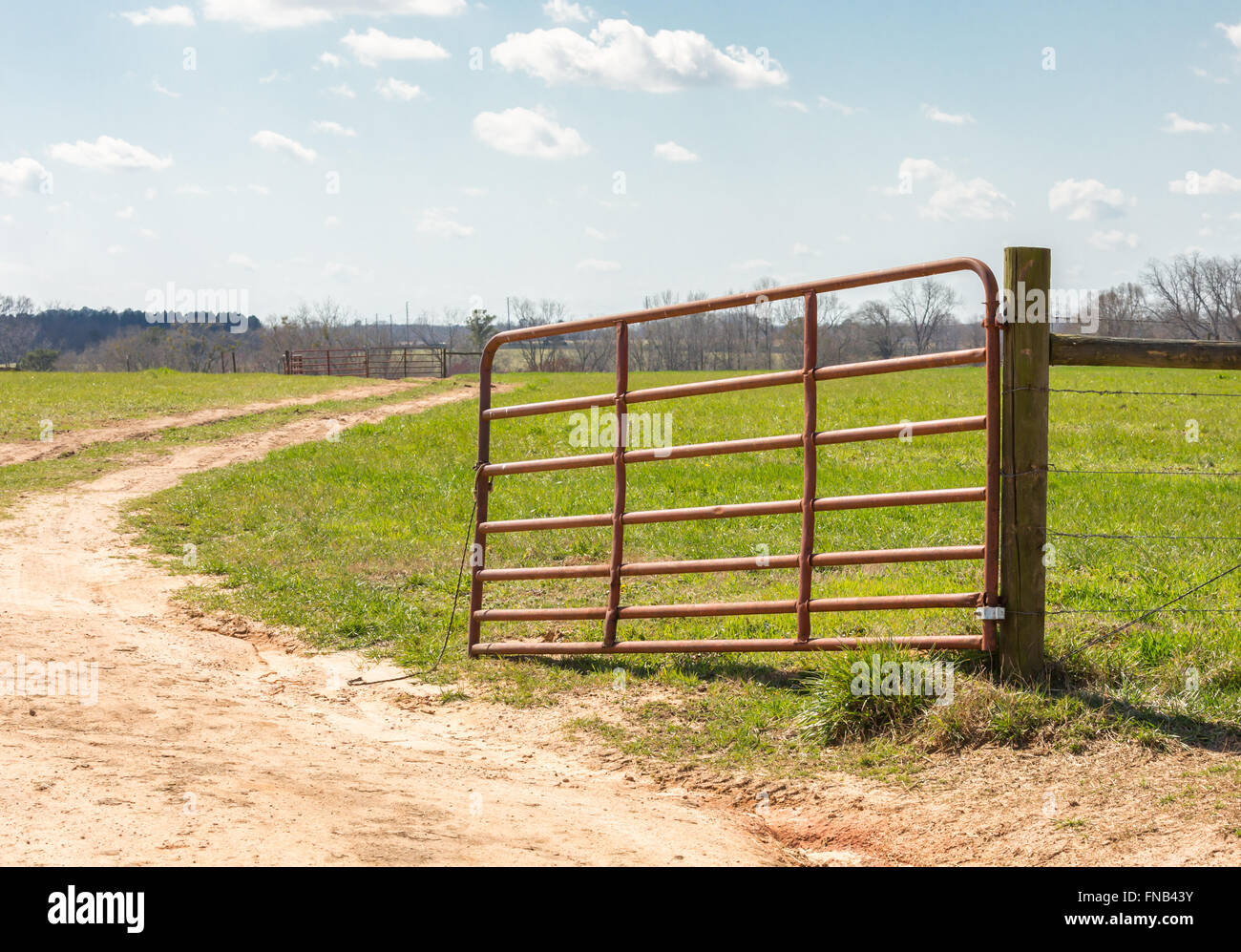cattle farm land pasture Stock Photo - Alamy