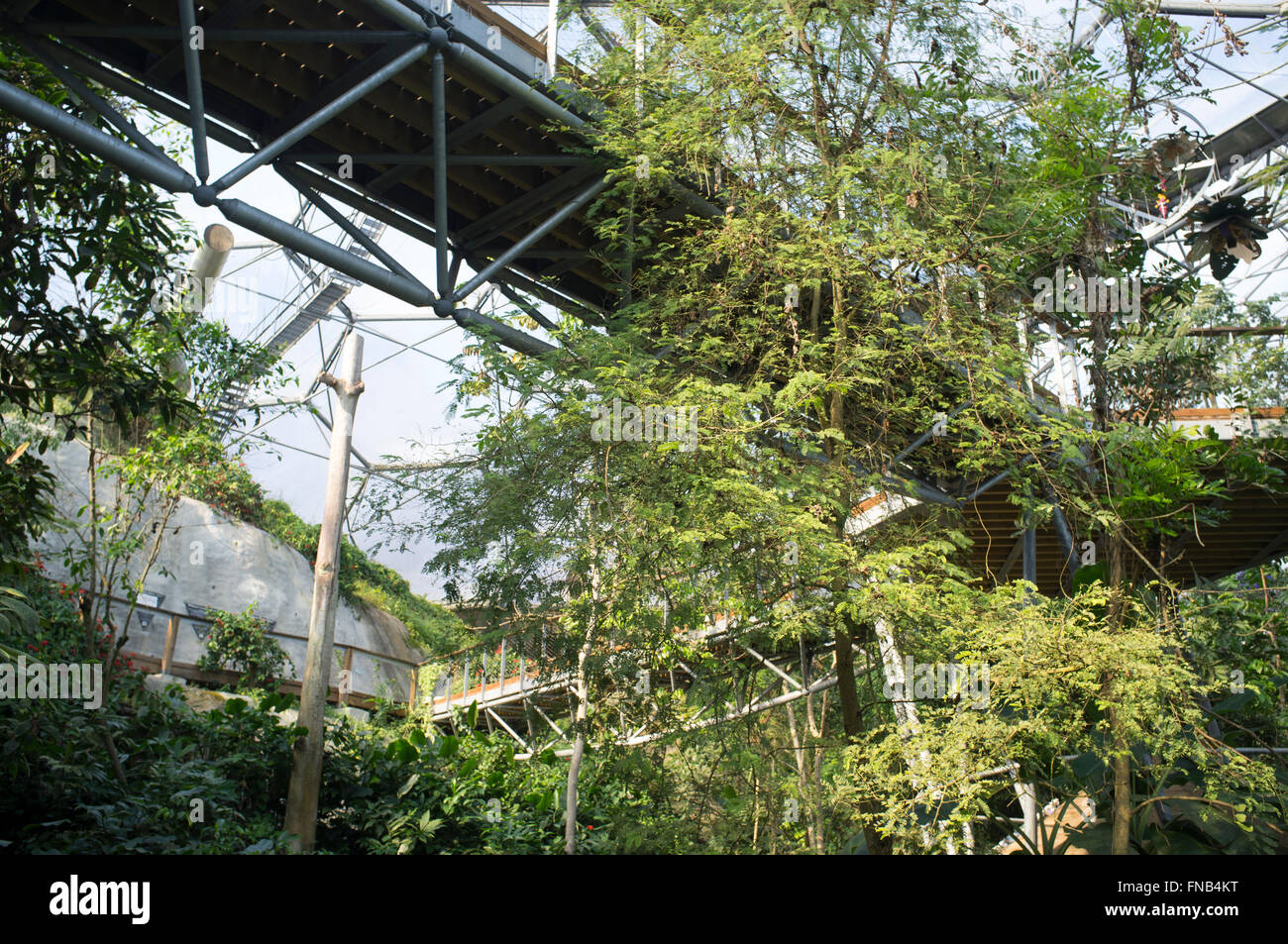 Aerial Walkway, Eden Project Stock Photo - Alamy