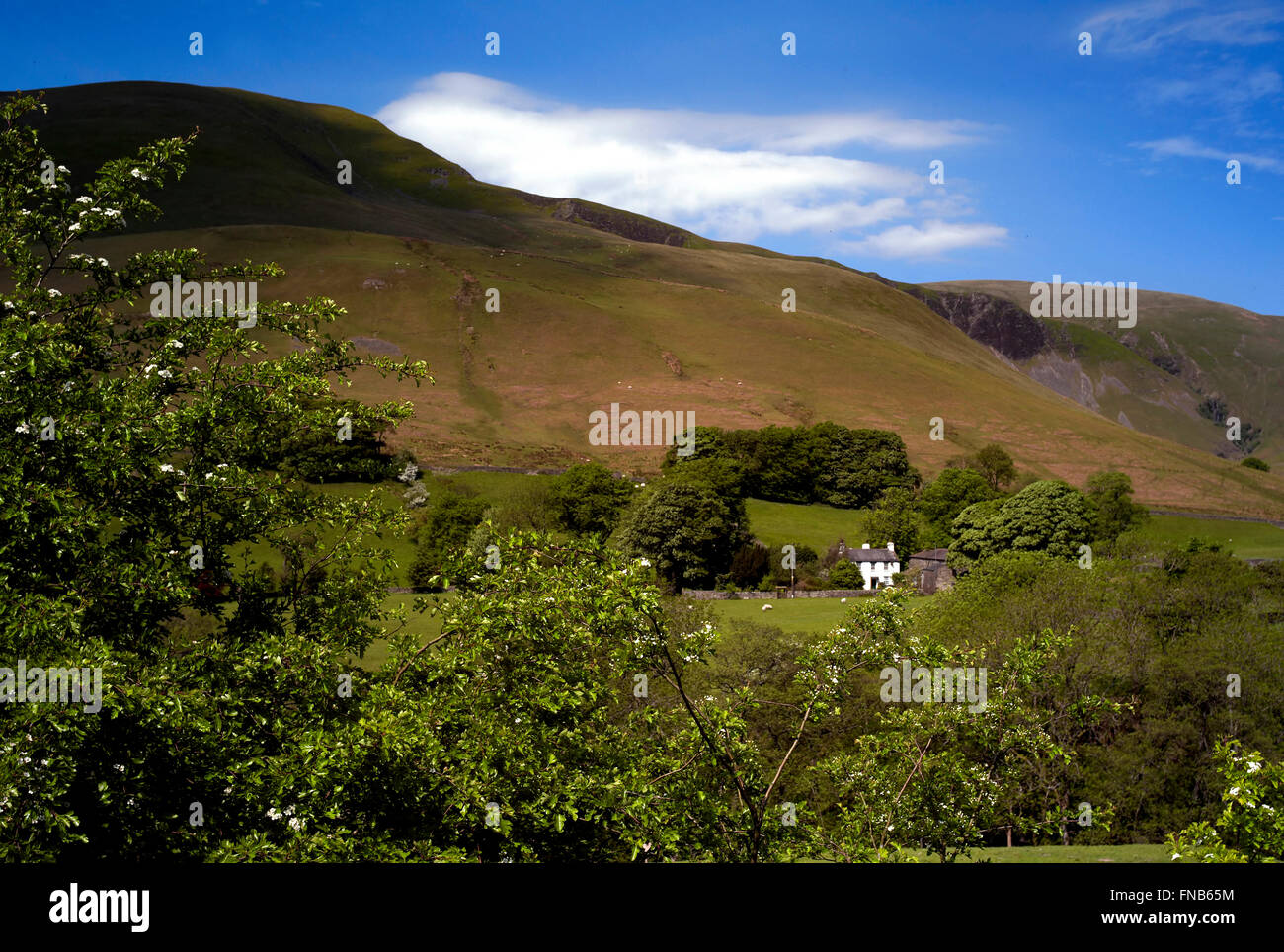 Low haygarth hi-res stock photography and images - Alamy