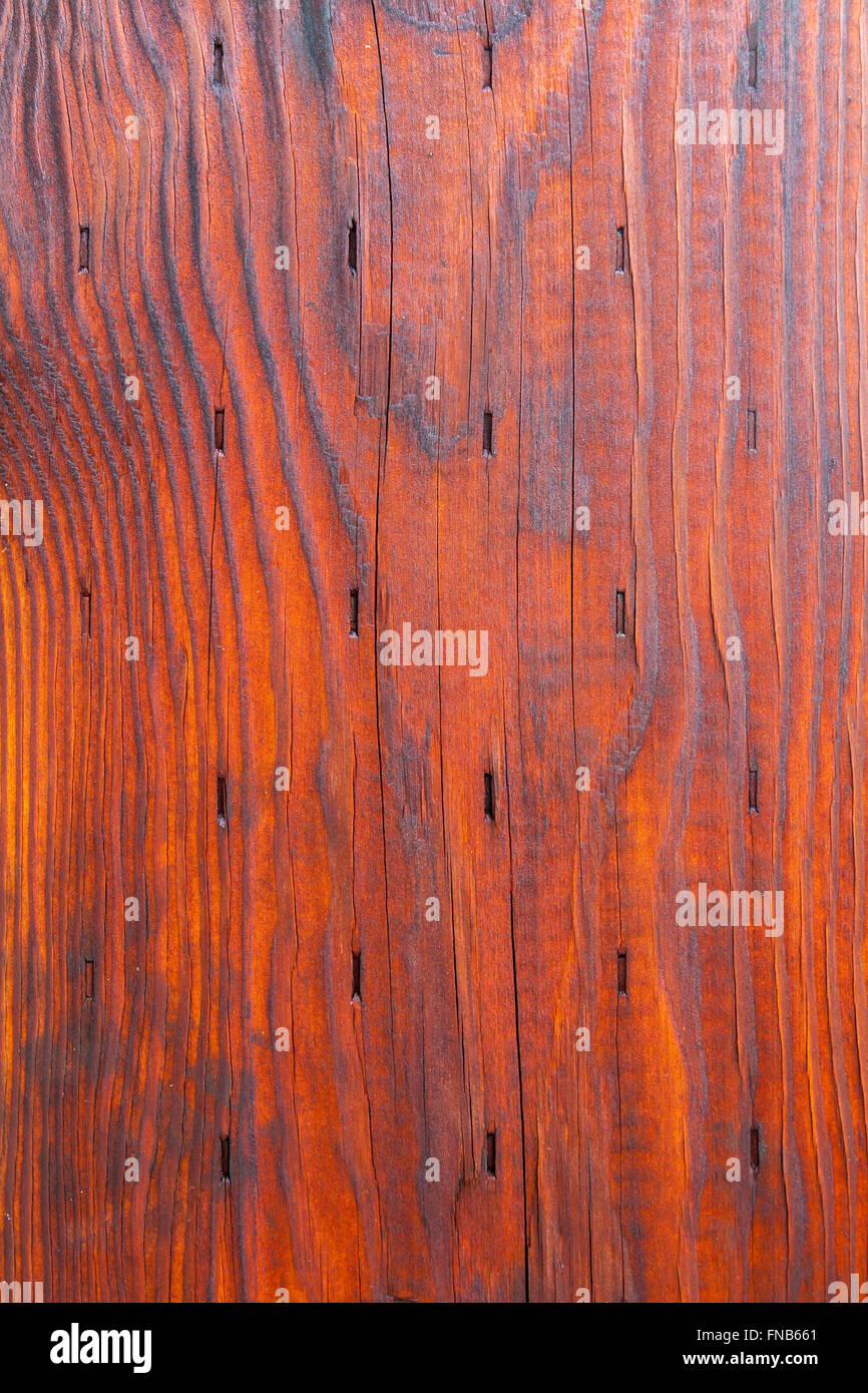 Wood and tree texture or background Stock Photo - Alamy
