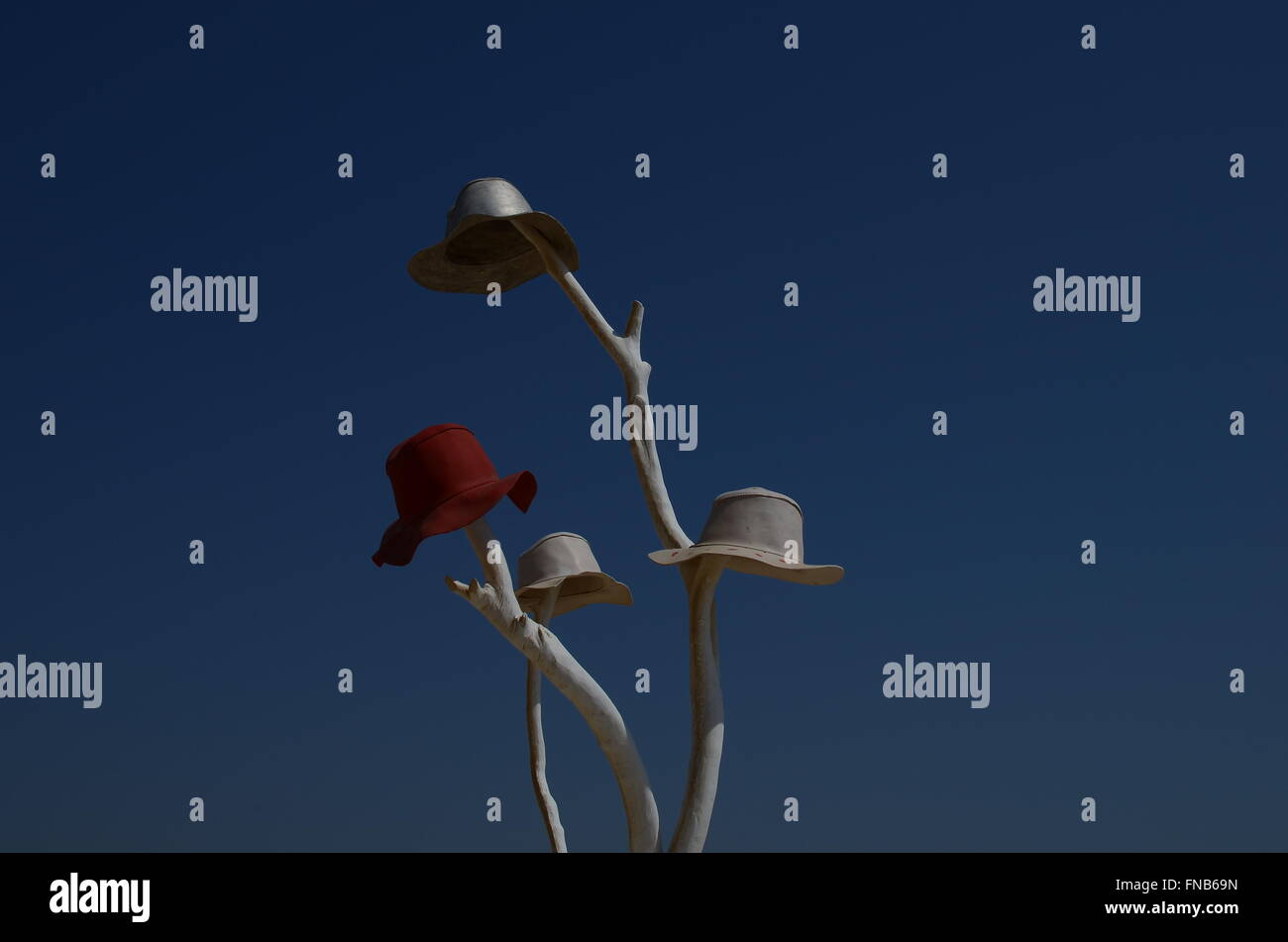 classic hats on the branches of a tree Stock Photo - Alamy