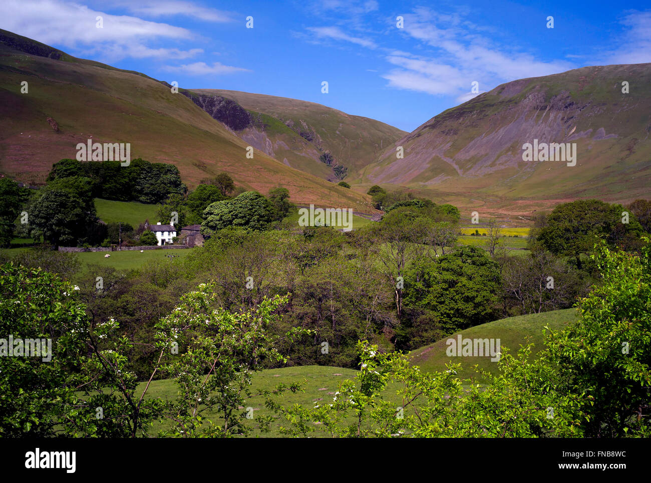 Low haygarth hi-res stock photography and images - Alamy