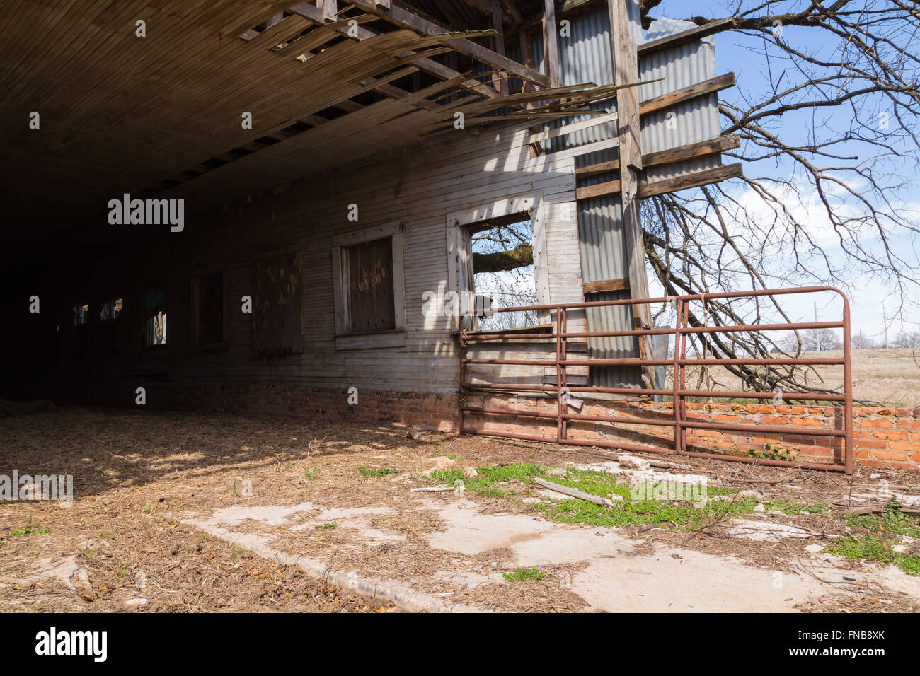 Old barn on a beef farm Stock Photo - Alamy
