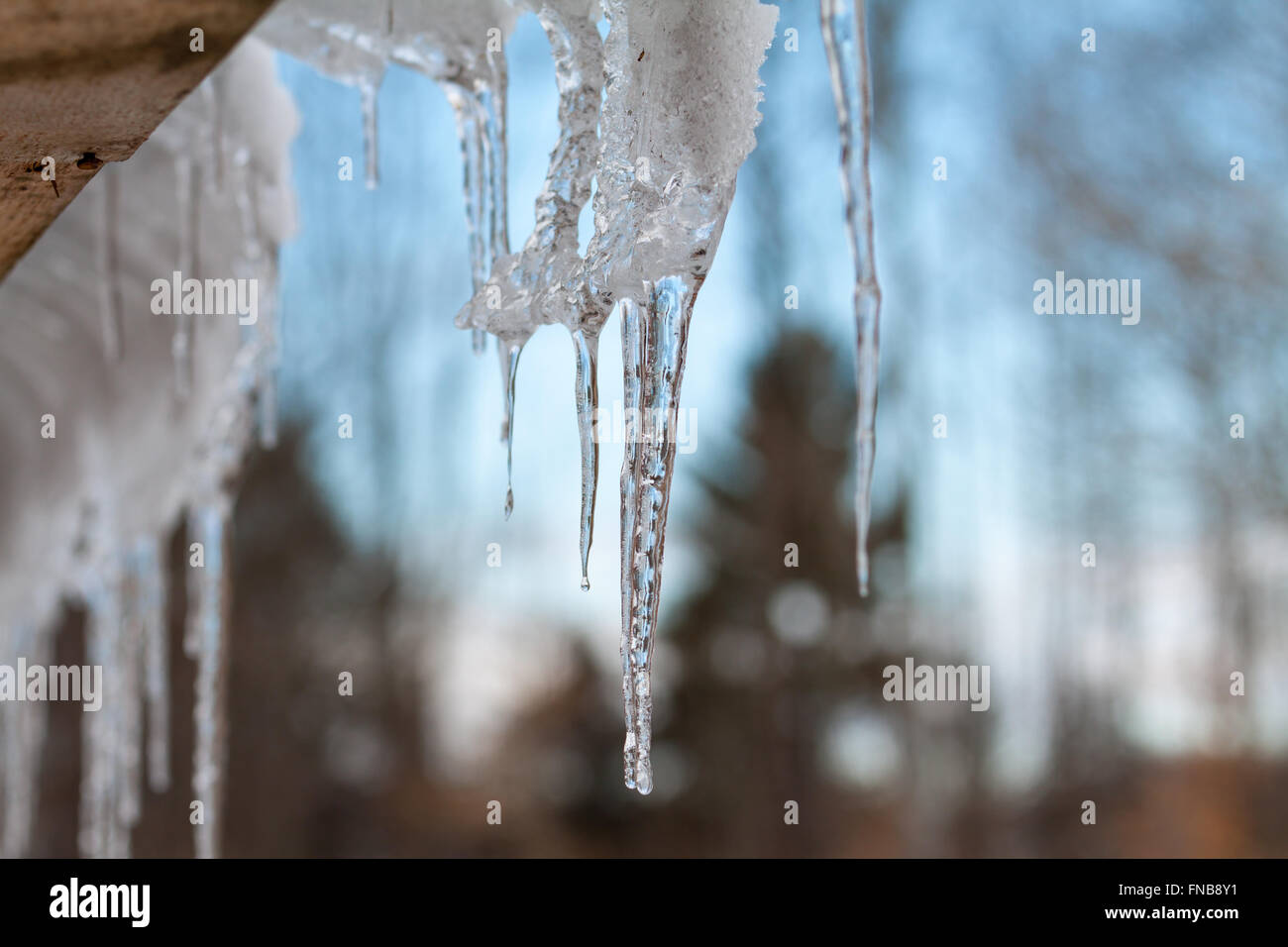 Sunlight and icicles hi-res stock photography and images - Alamy