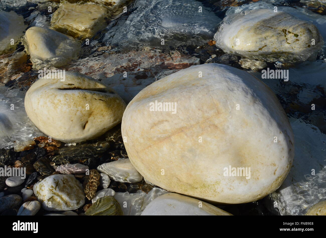 Photography of nature in the open space Stock Photo - Alamy